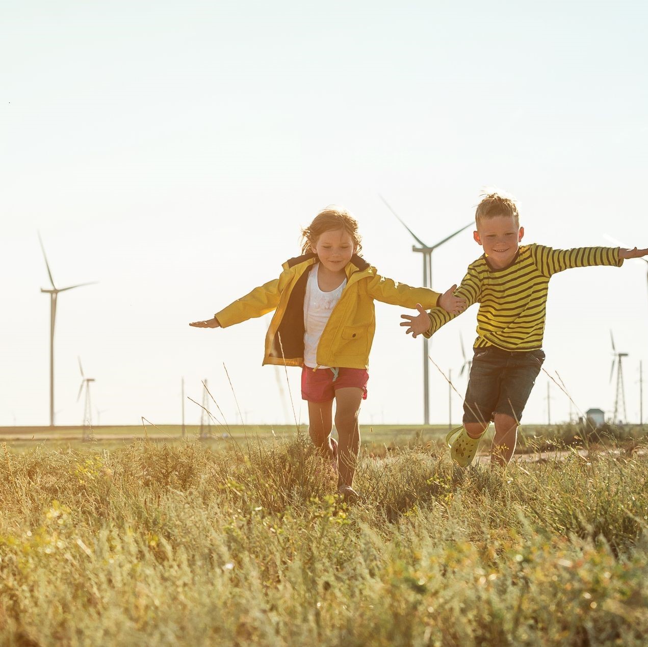 Energy Services - Vantage Energy Group